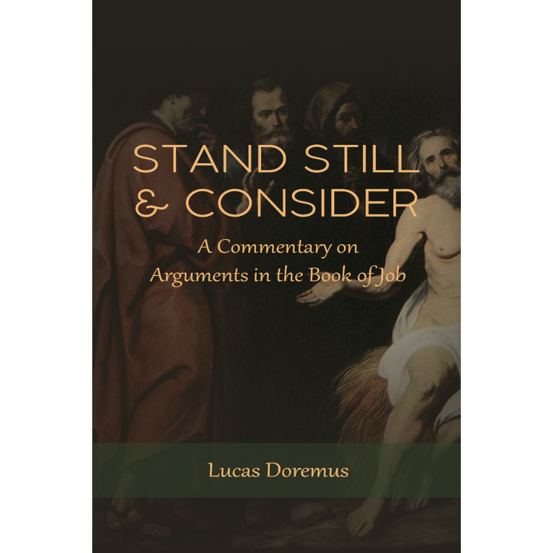 Stand Still and Consider: A Commentary on Arguments in the Book of Job ...